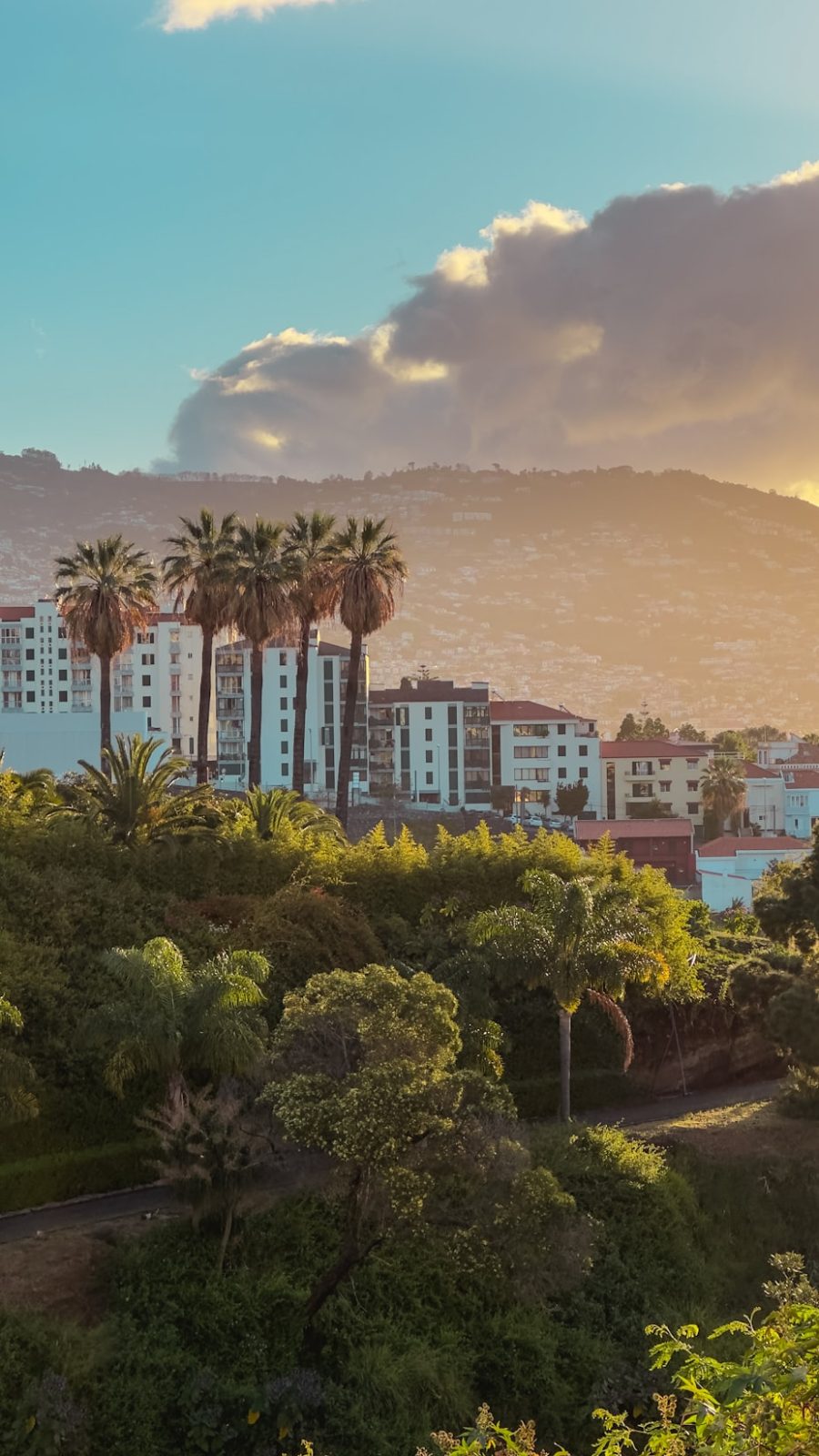Funchal, Madeira Port Guide | Virgin Voyages | Serious Sailors